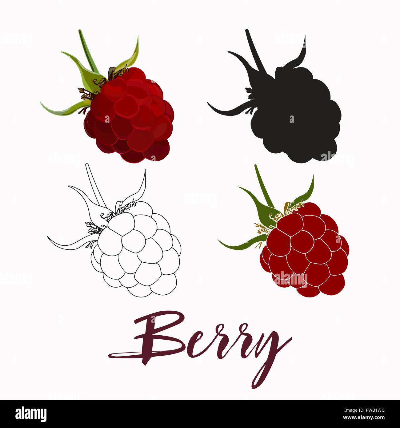 Raspberries isolated on white background. Raspberry silhouette, outline ...