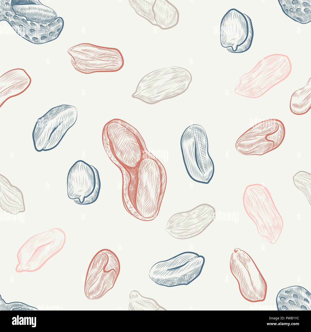 Peanut seamless pattern. Hand drawn peanut shells and kernels sketches ...