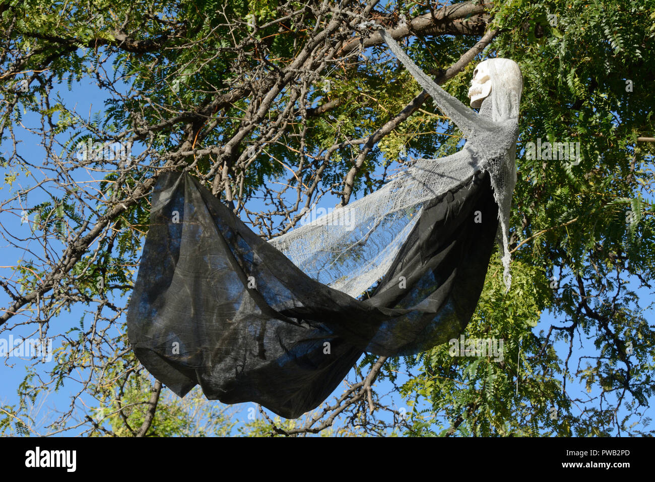 Ghostly Halloween ghoul with skeleton skull decoration hanging from ...