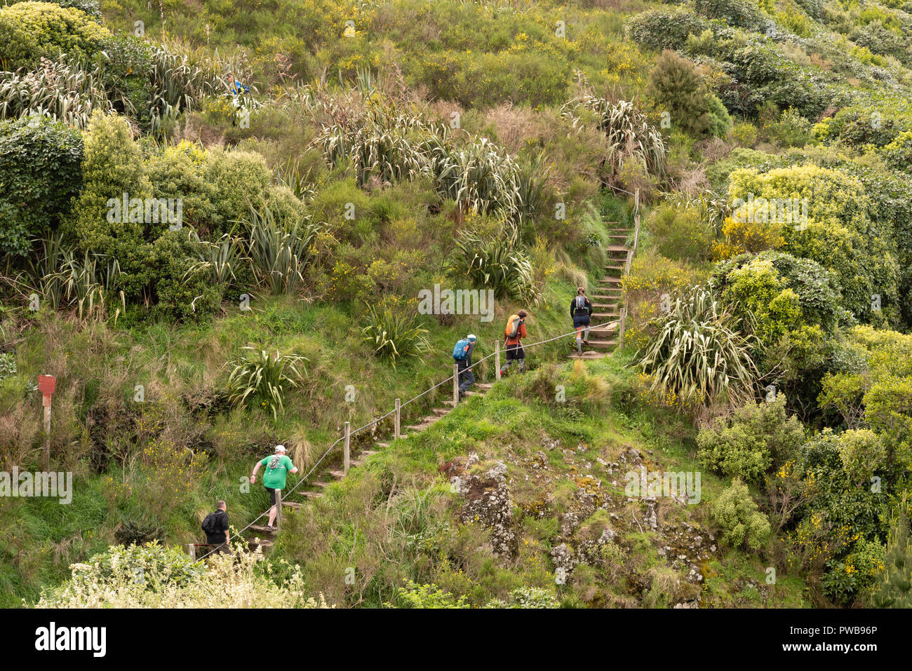 Crater Rim Ultra trail running race. Port Hills, Christchurch, New ...