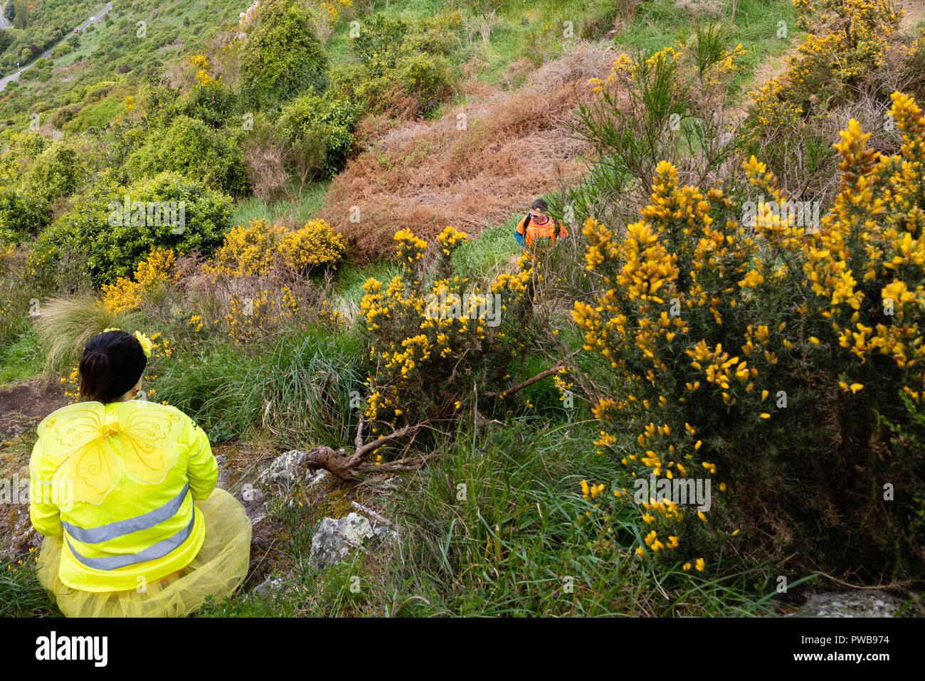 Crater Rim Ultra trail running race. Port Hills, Christchurch, New ...