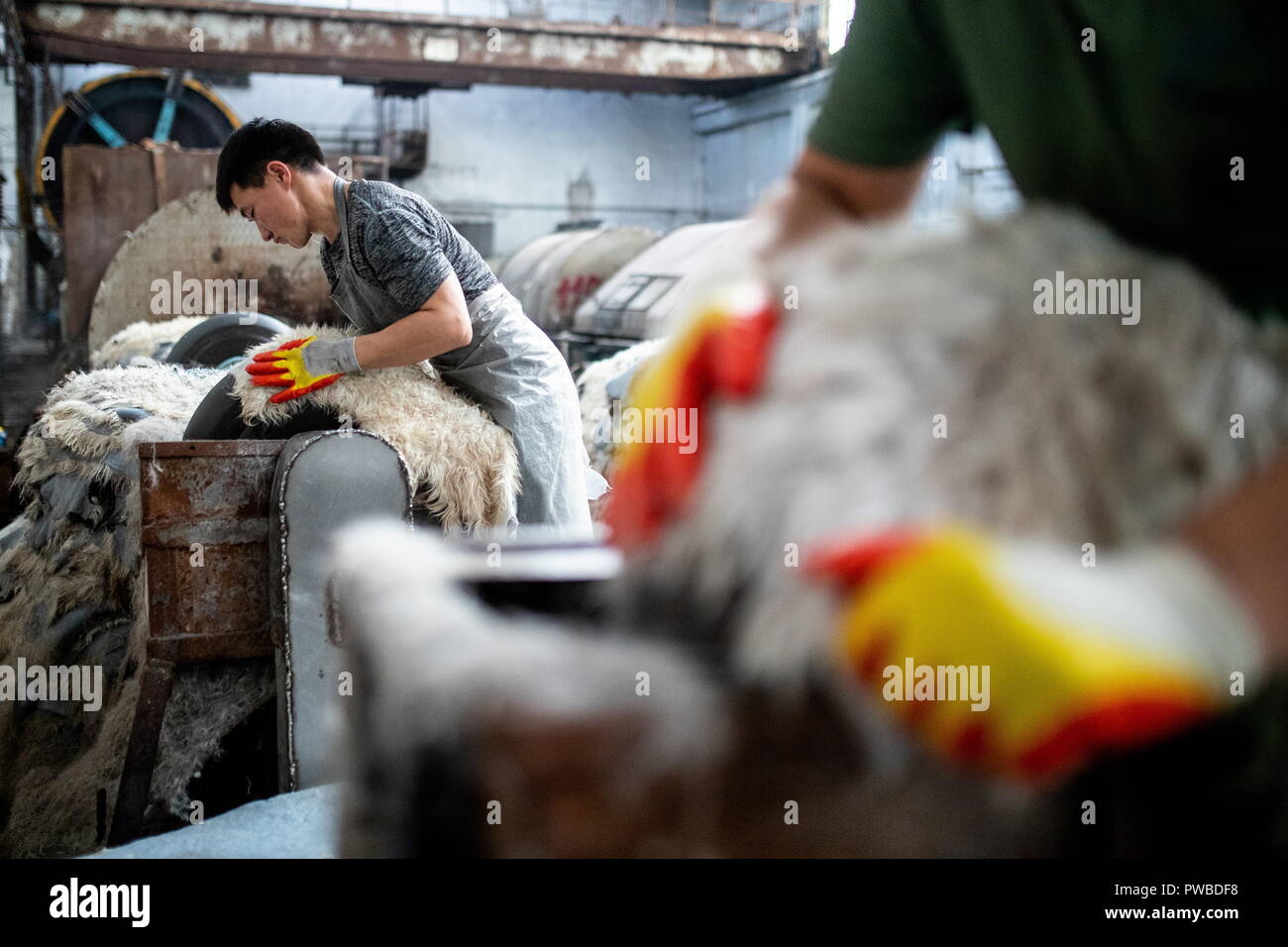 Goatskin Clothing High Resolution Stock Photography and Images - Alamy