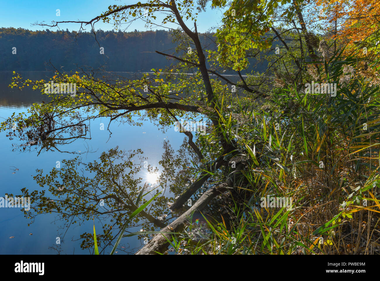 Siehdichum, Brandenburg. 14th Oct, 2018. View over Lake Hammersee in ...