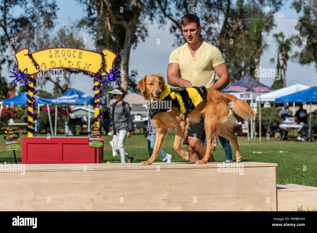 Puerto rico halloween hi-res stock photography and images - Alamy