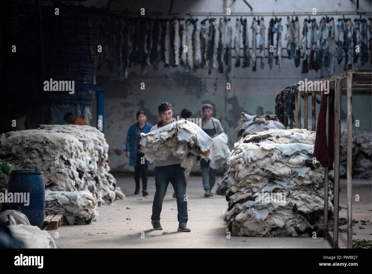 Darkhan High Resolution Stock Photography and Images - Alamy