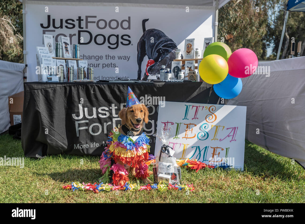 Puerto rico halloween hi-res stock photography and images - Alamy
