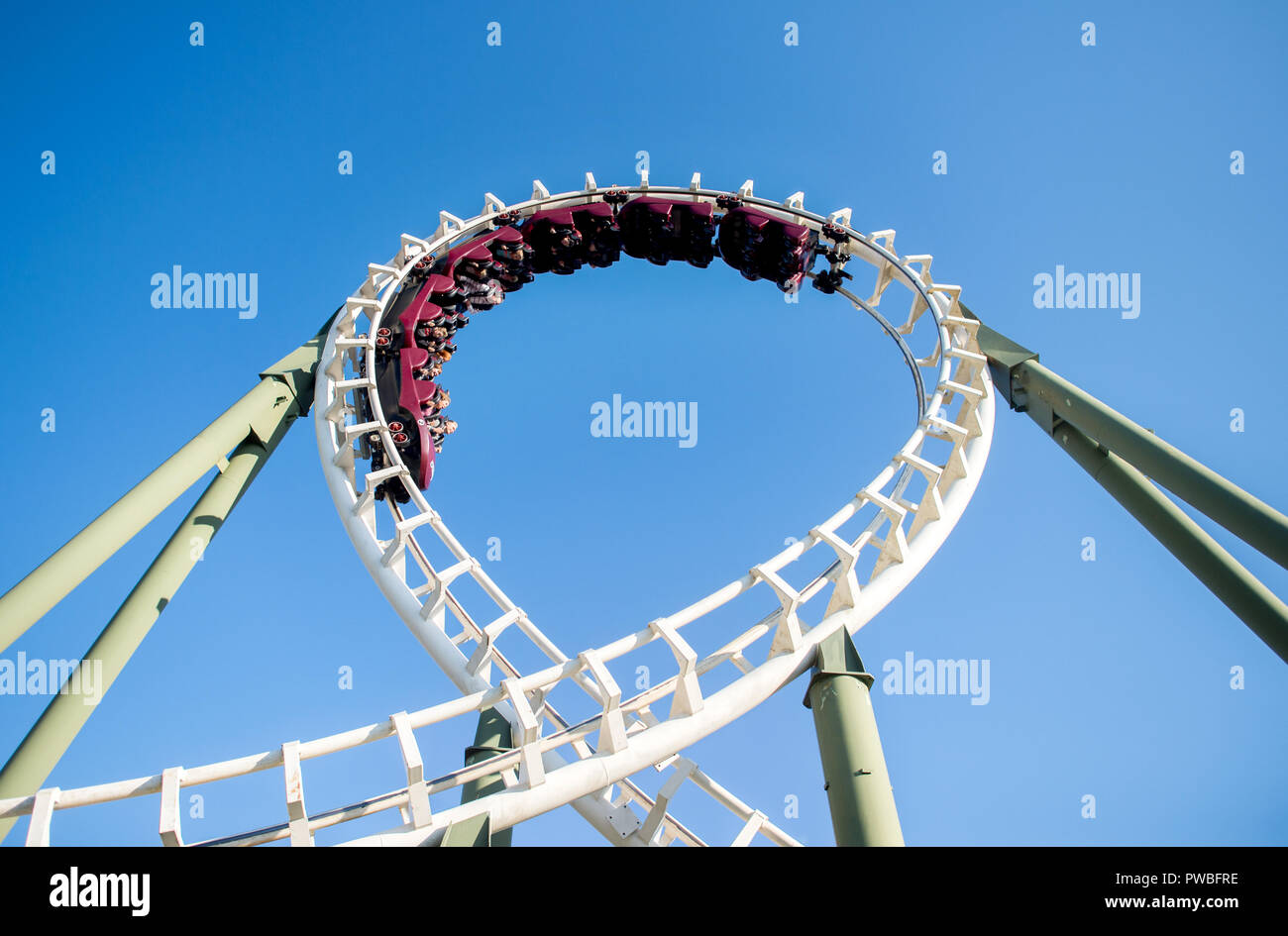 Roller Coaster Loop Only