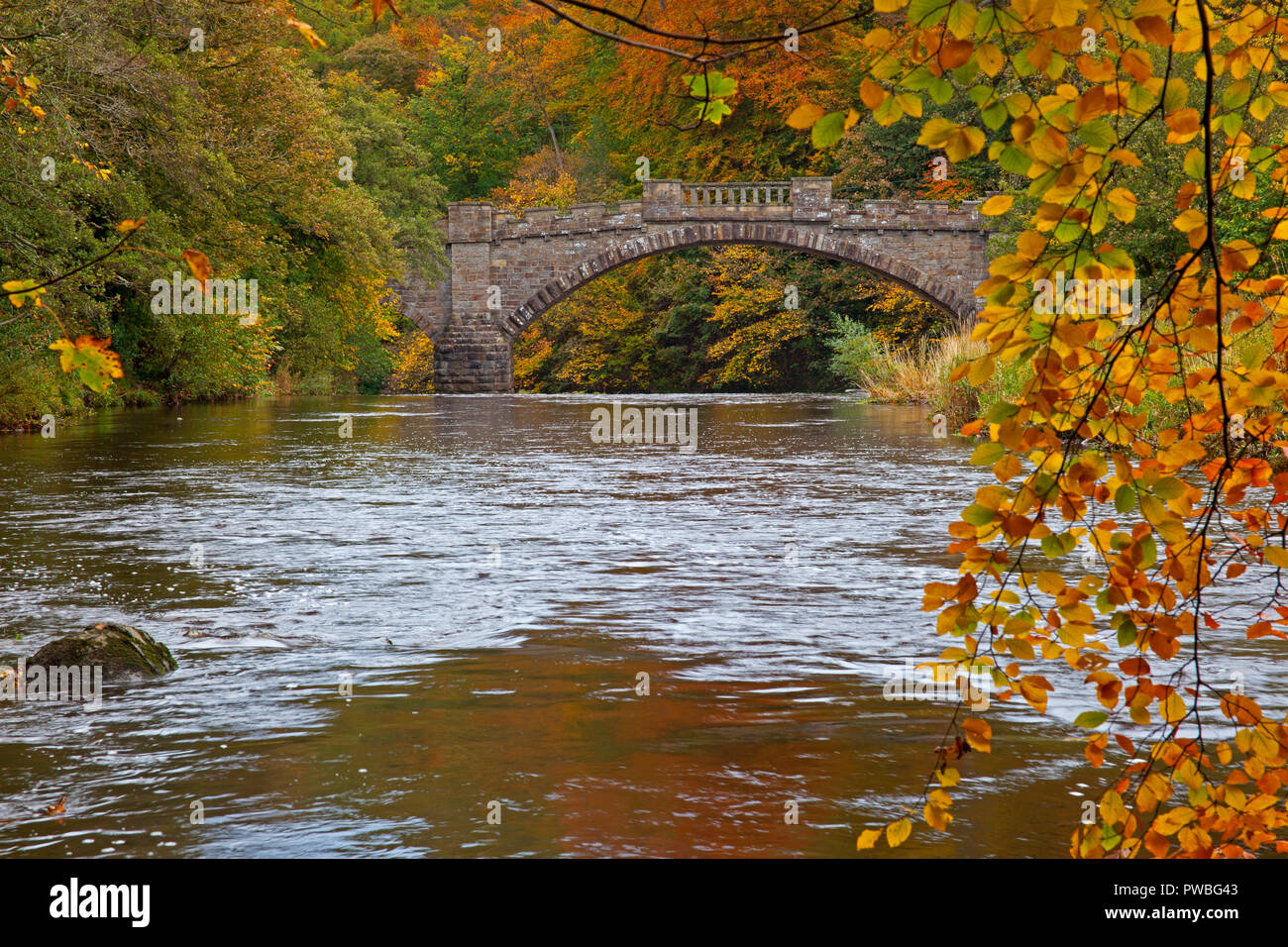 Almondell and and calderwood country park scotland hi-res stock ...