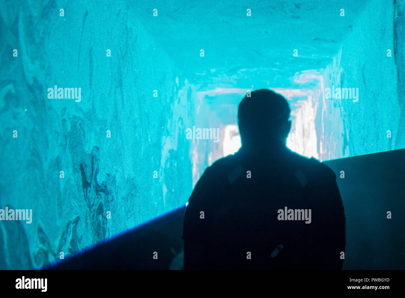 Nick verstand hi-res stock photography and images - Alamy