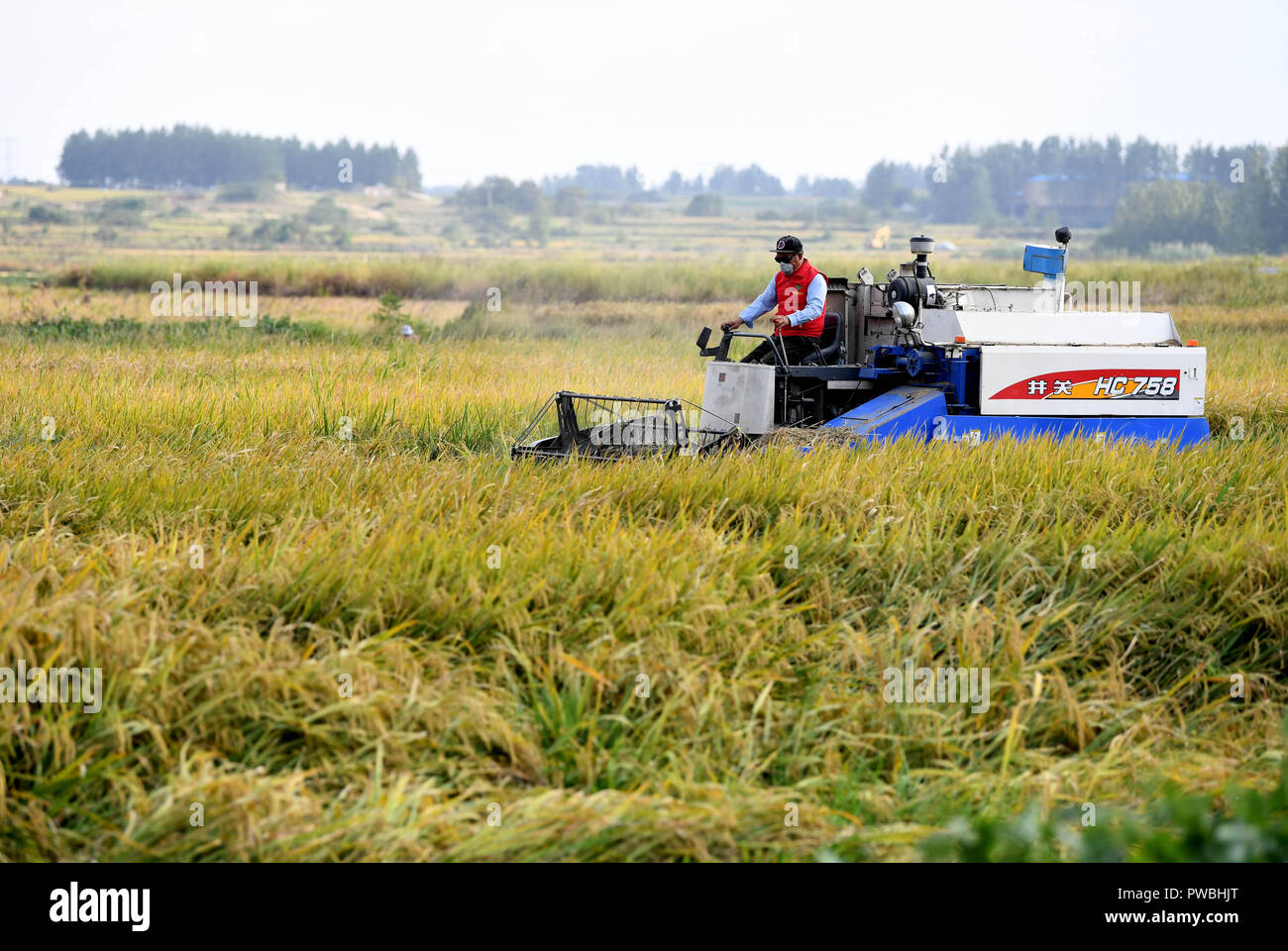 Anhui province rice field hi-res stock photography and images - Alamy