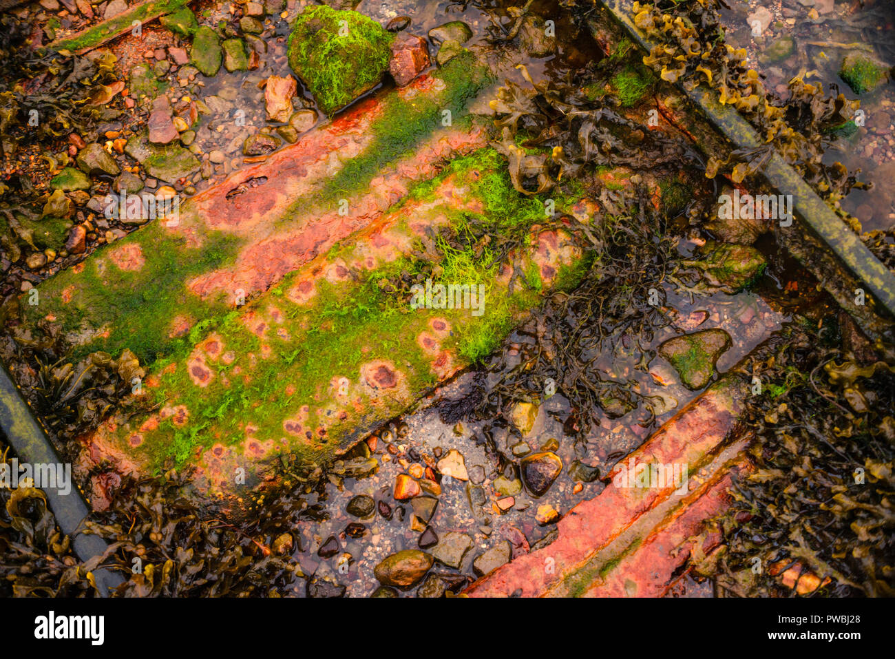 Tracks at Castle Stalker, Loch Laich, Argyll, Scotland, United Kingdom ...