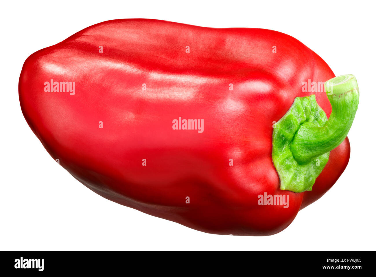 Large Red Bell Pepper (Capsicum annuum fruit), whole pod, Yolo Wonder ...