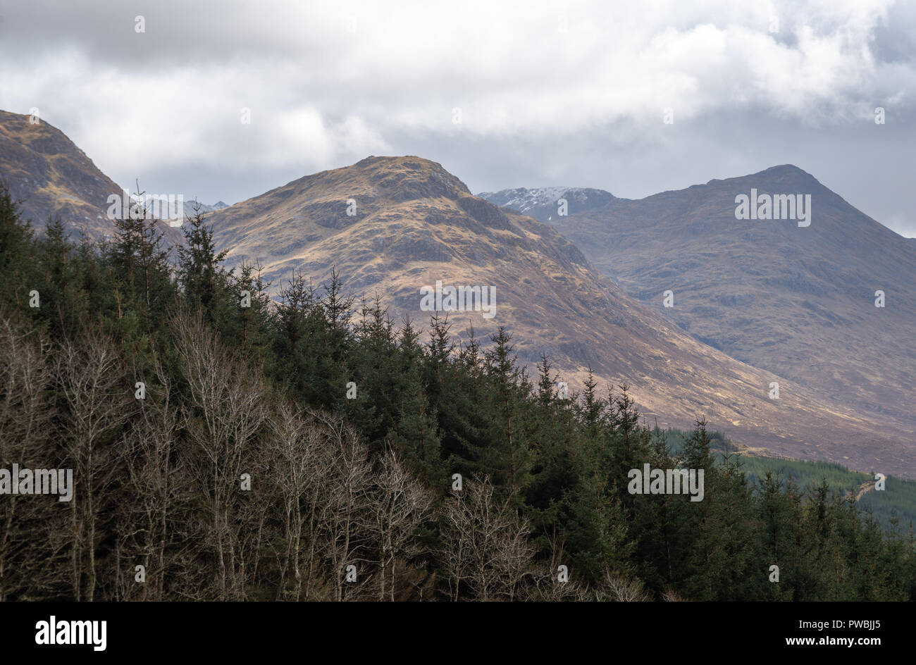 Viewpoint at Ratagan forest over Loch Duich and the surrounding ...