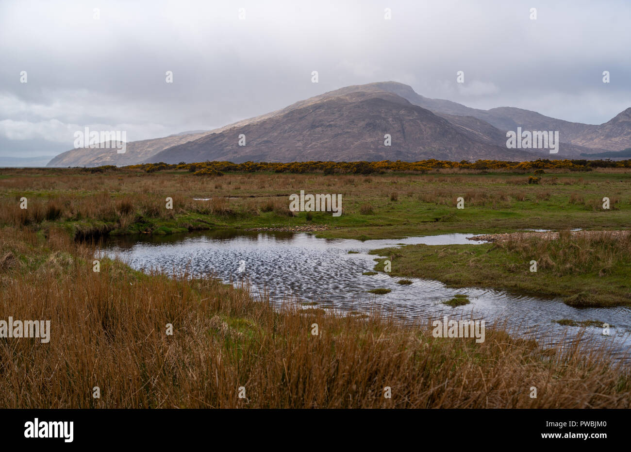 Ponds in the Moorland in Glenmore Valley at the shore of Kyle Rhea ...