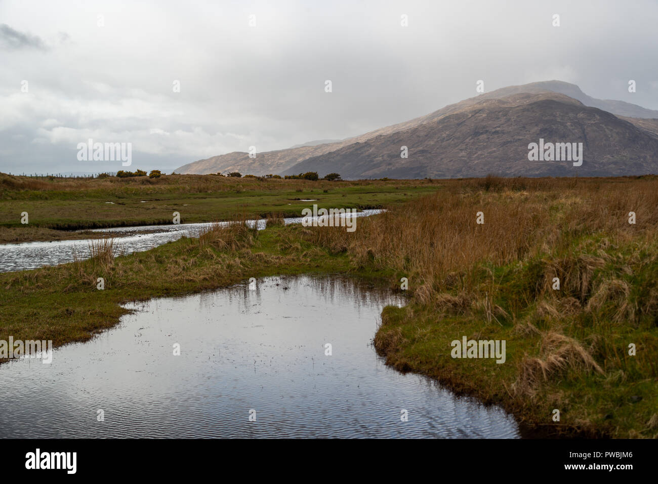 Ponds in the Moorland in Glenmore Valley at the shore of Kyle Rhea ...