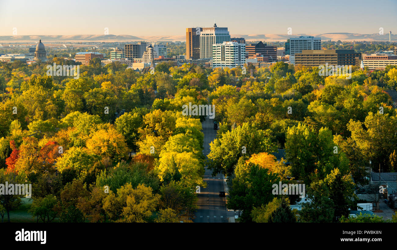 Fall autumn forest of trees leads to the skyline of Boise Idaho Stock ...