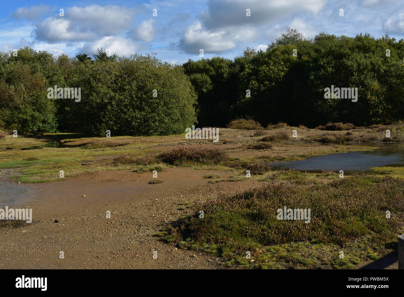 Wetland landscapes hi-res stock photography and images - Alamy