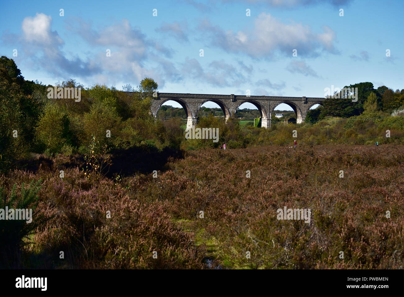 Carnon valley hi-res stock photography and images - Alamy