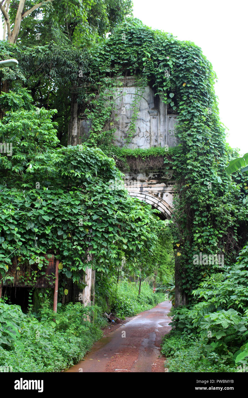 The Arch of Conception gate covered by green plants and flowers in Goa ...
