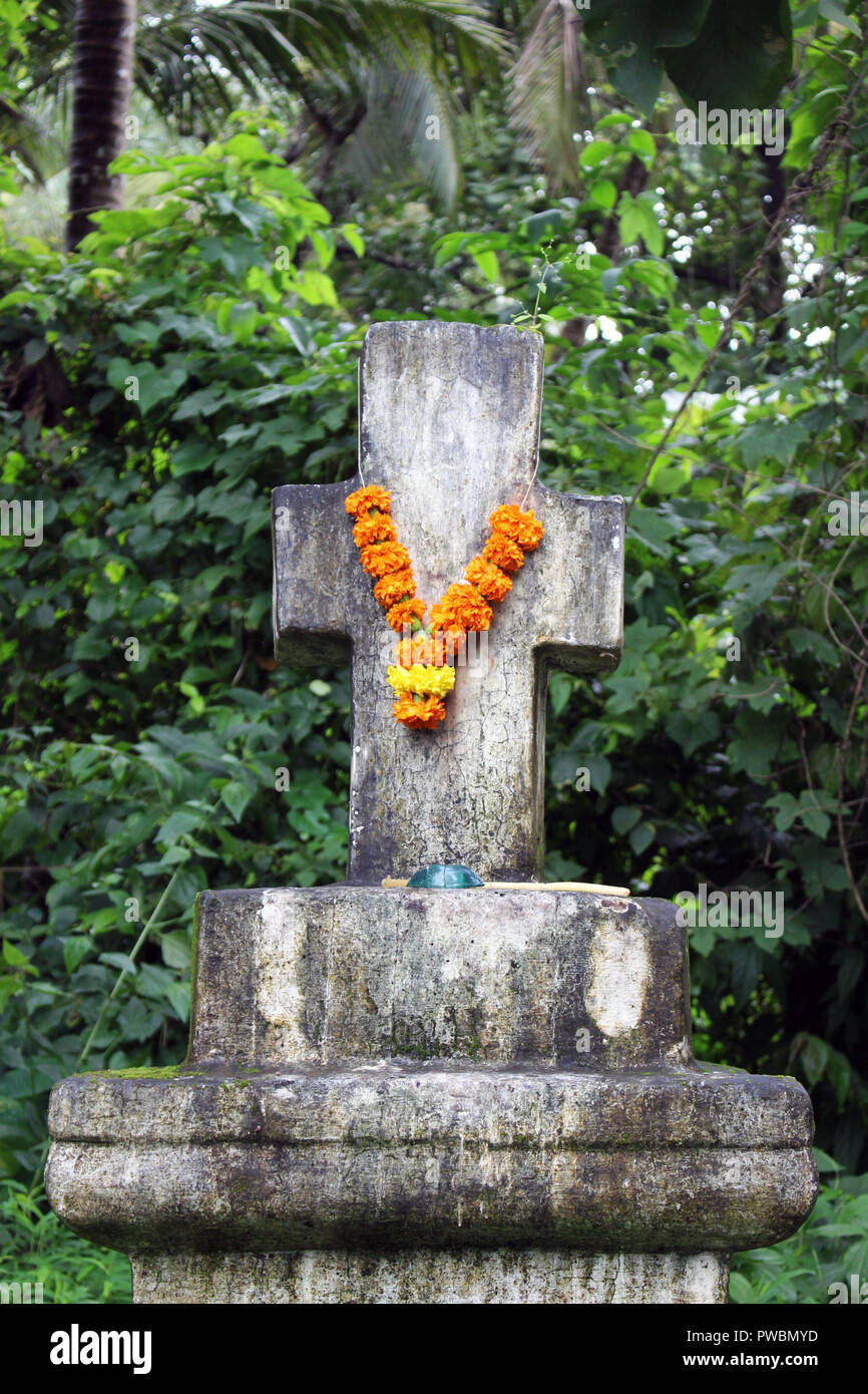 Venerated flower hi-res stock photography and images - Alamy