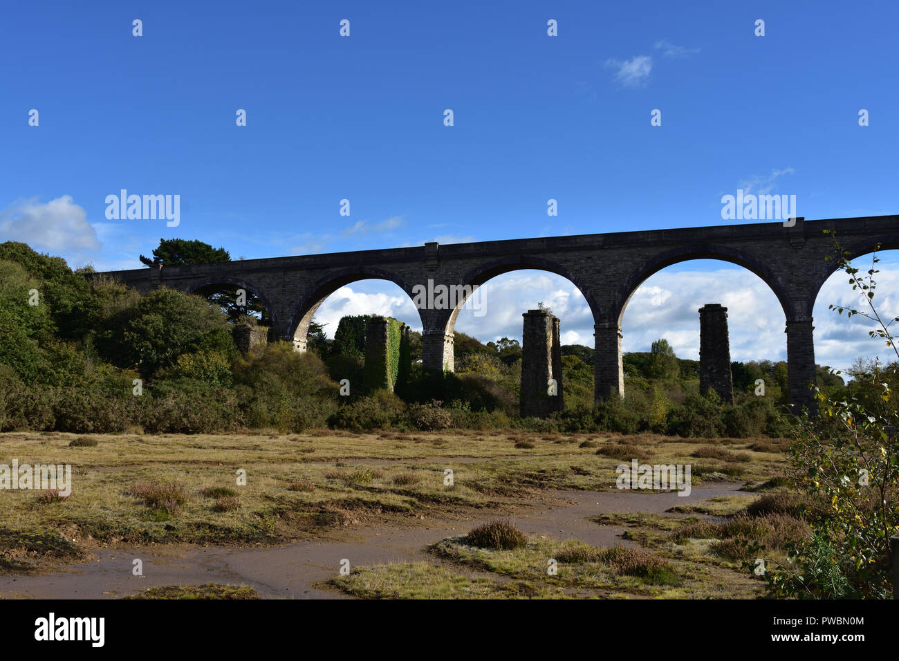 Cornwall viaduct hi-res stock photography and images - Alamy