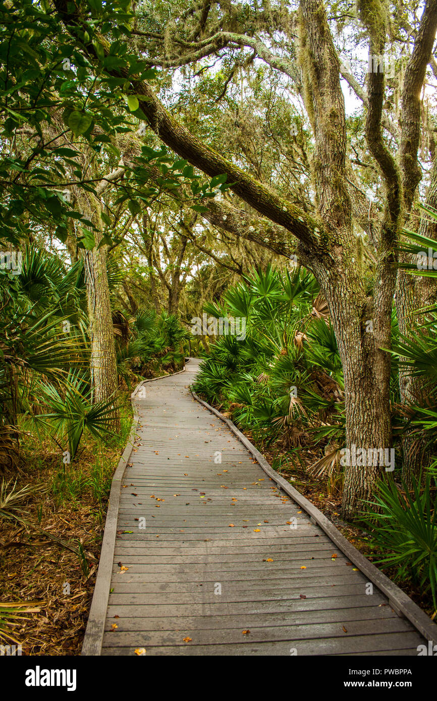 Merritt Island path, Florida Stock Photo - Alamy