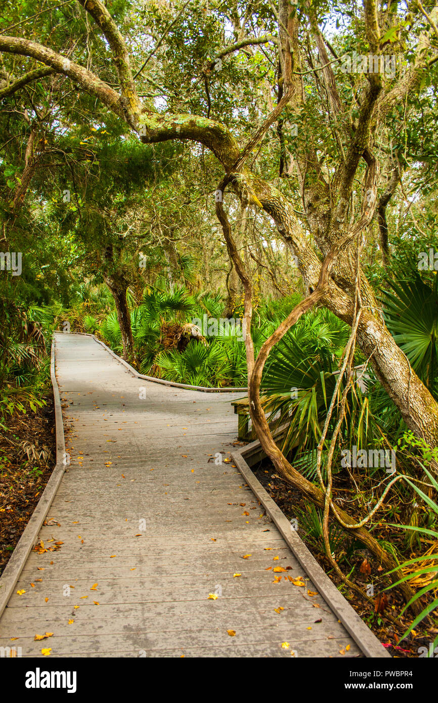 Merritt Island path, Florida Stock Photo - Alamy