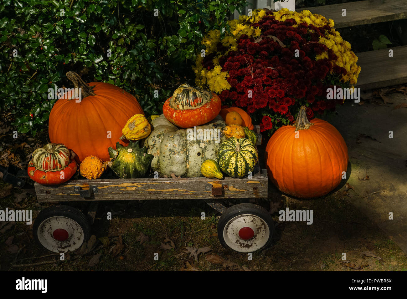 Kids family wagon hi-res stock photography and images - Alamy