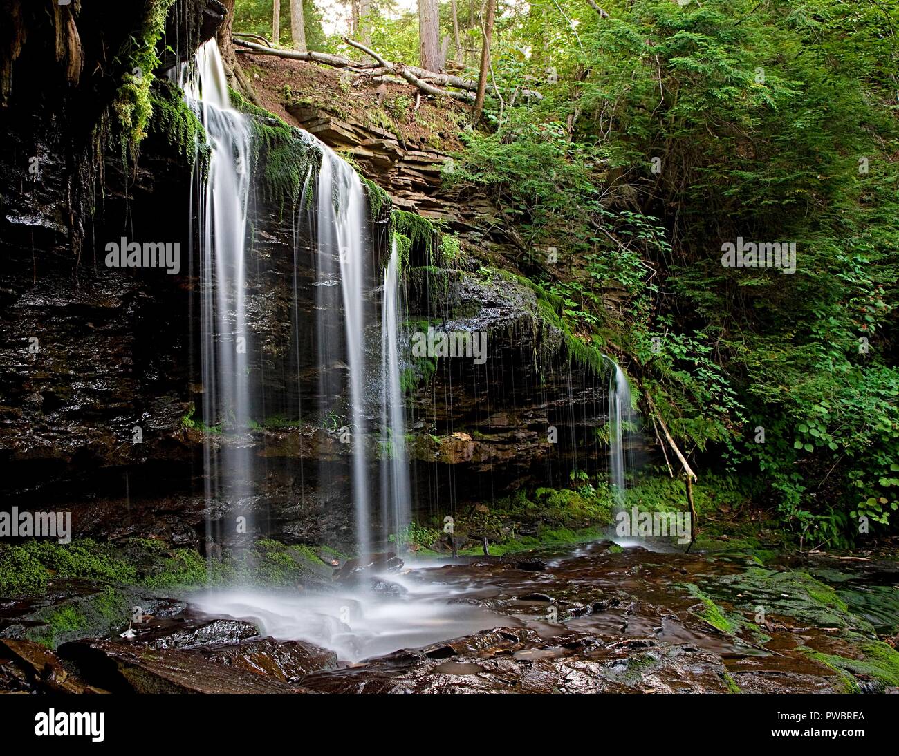 Image of peaceful waterfall in the forest Stock Photo - Alamy