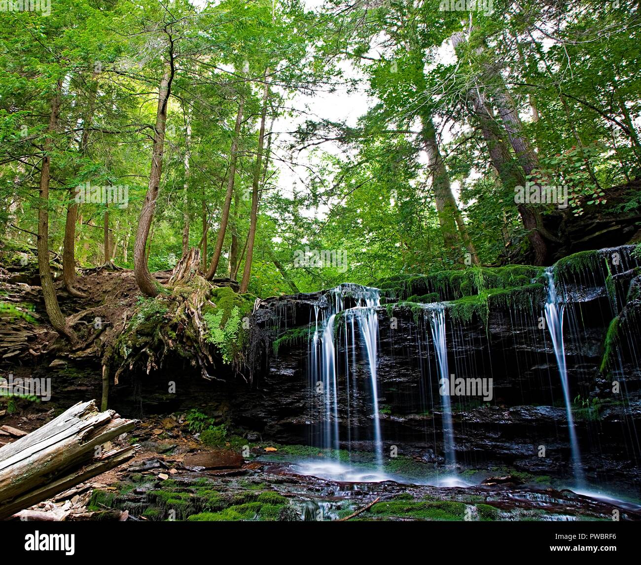 Jungle water survival hi-res stock photography and images - Alamy