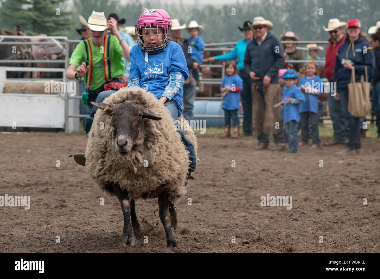 Kids participate in the mutton busting / sheep riding competition at ...