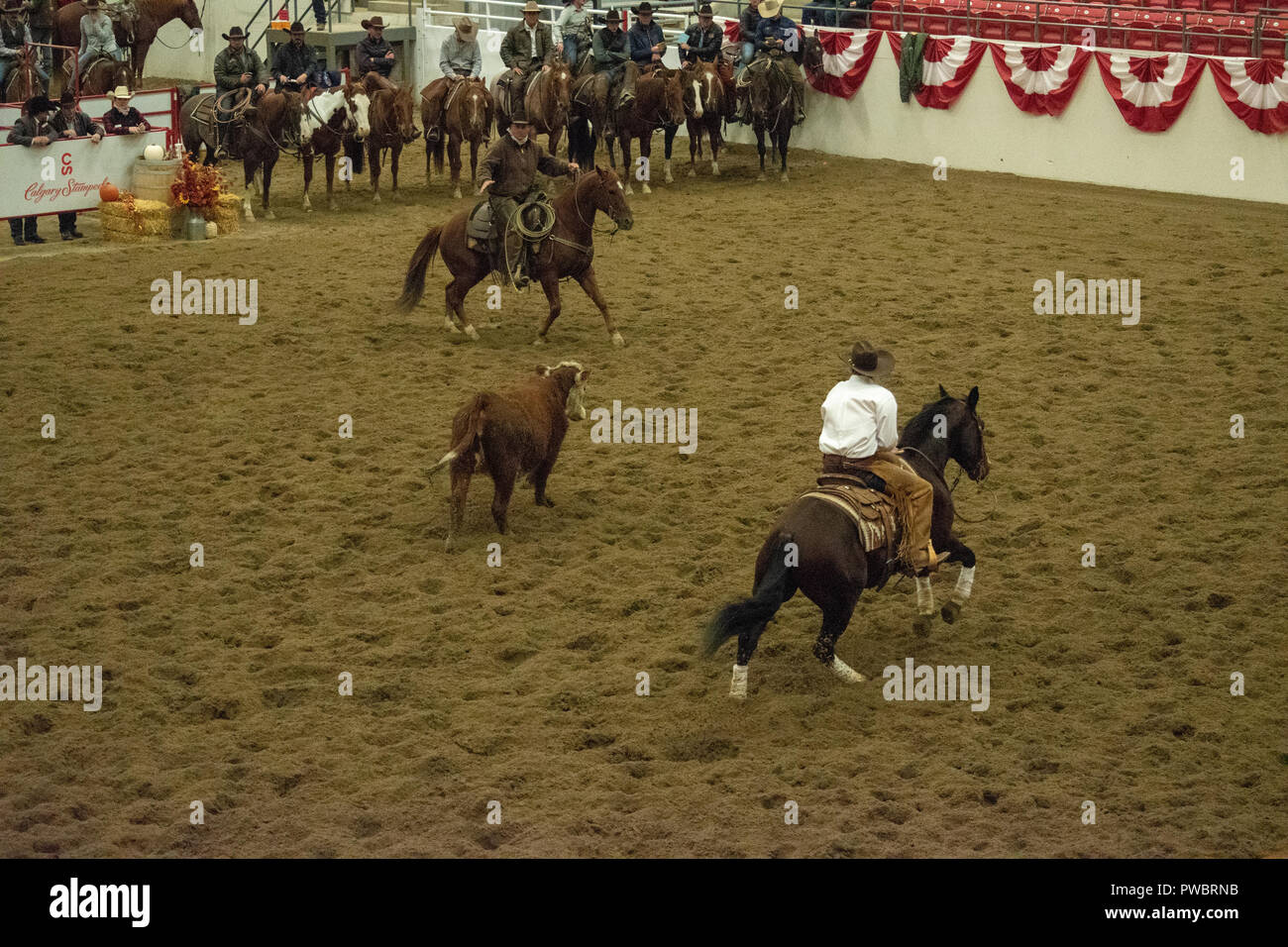 Stampede corral hi-res stock photography and images - Alamy