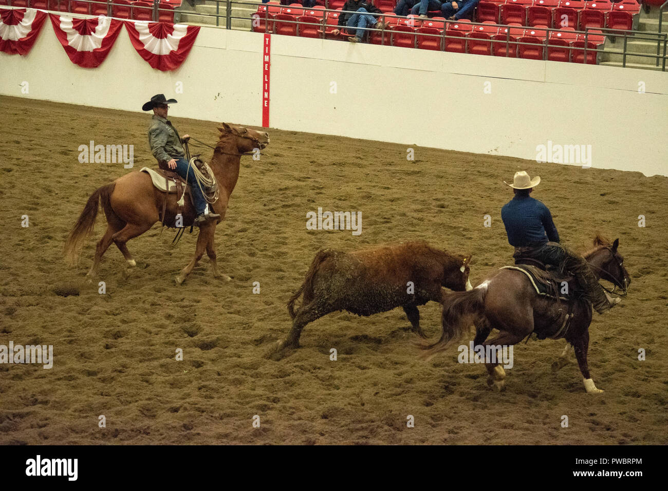 Stampede corral hi-res stock photography and images - Alamy