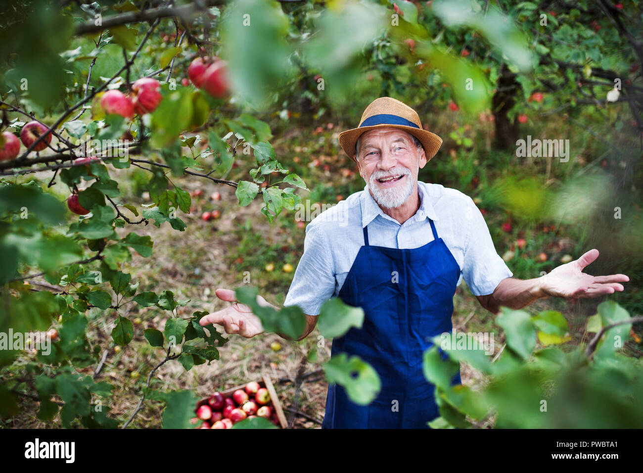 Man throwing apple hi-res stock photography and images - Alamy
