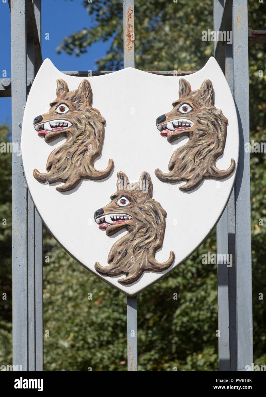 Three foxes hi-res stock photography and images - Alamy