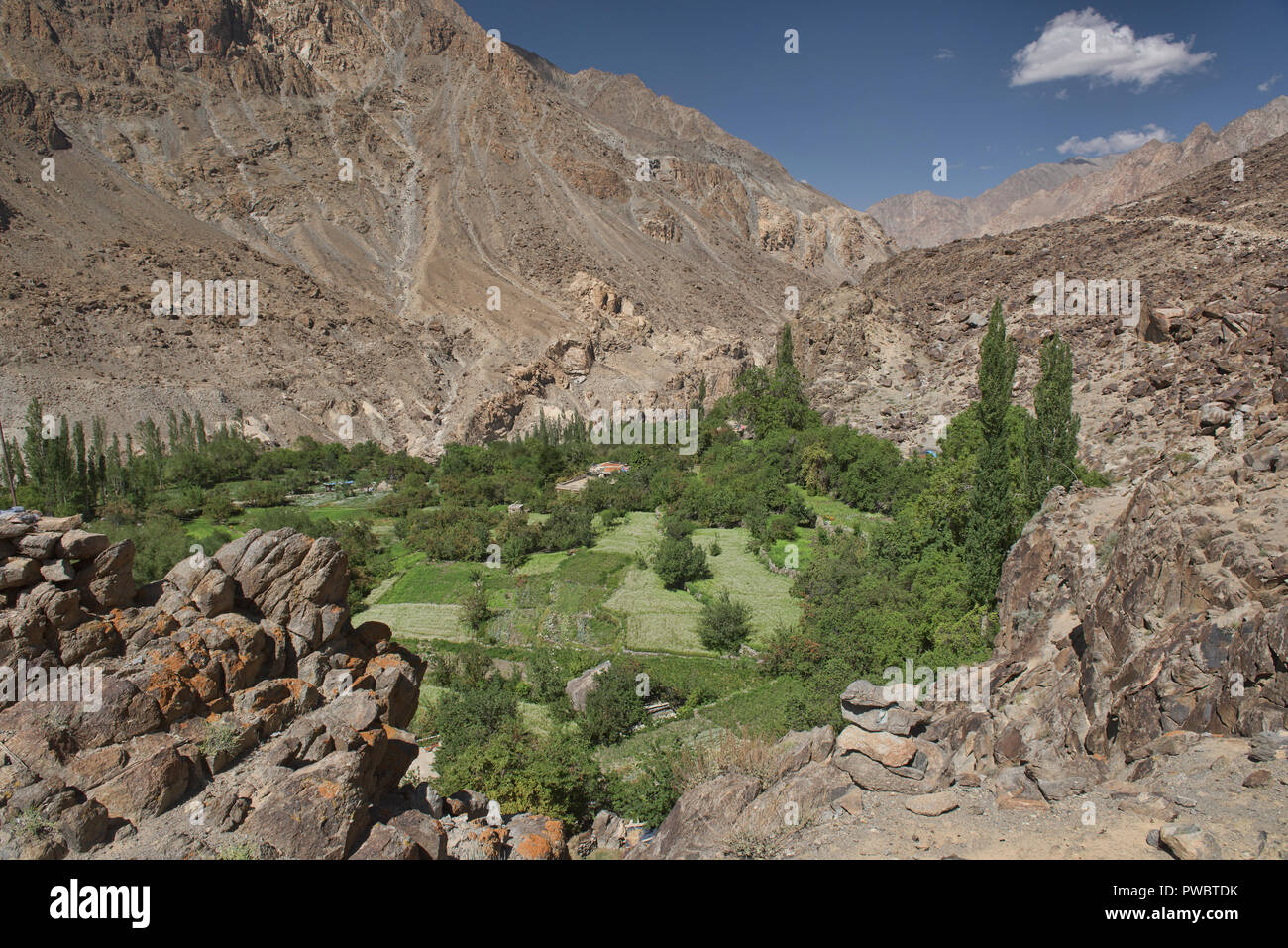 Agricultural plots in the Aryan Valley, Ladakh, India Stock Photo - Alamy