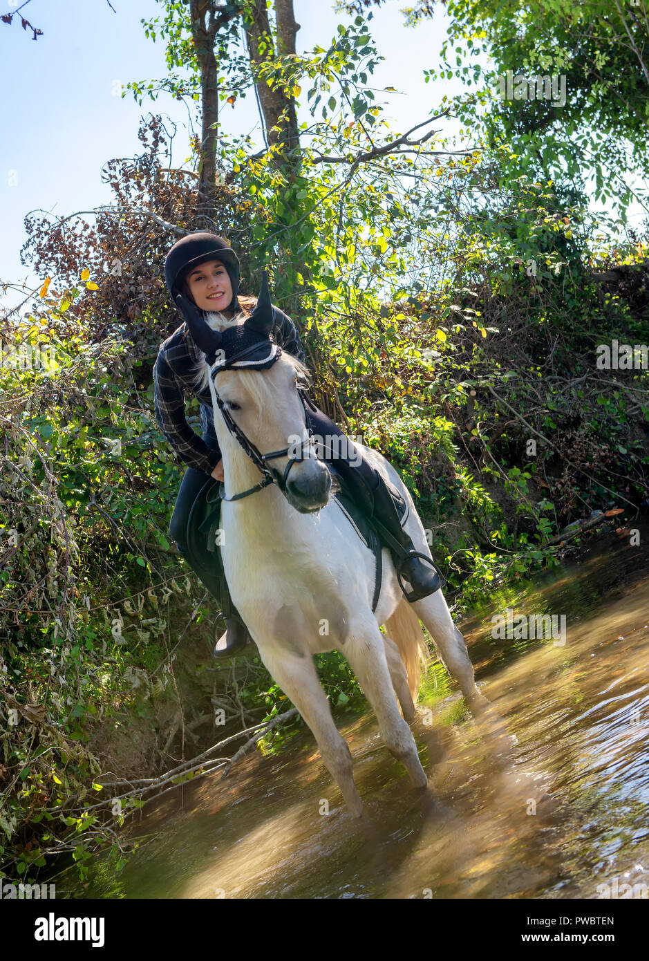 Young woman riding a horse in the river A beautiful rider and horse ...