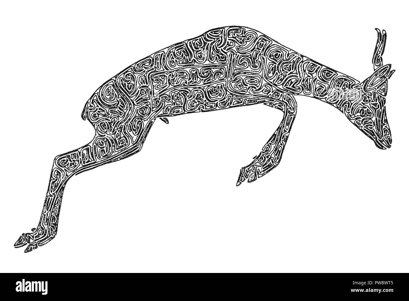 Springbok Cut Out Stock Images & Pictures - Alamy