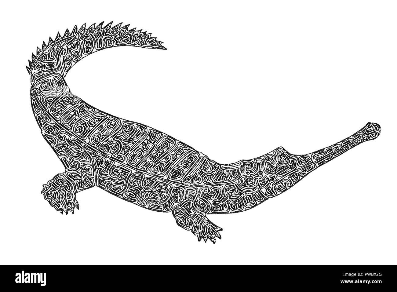 Gharial Fish Eating High Resolution Stock Photography and Images - Alamy