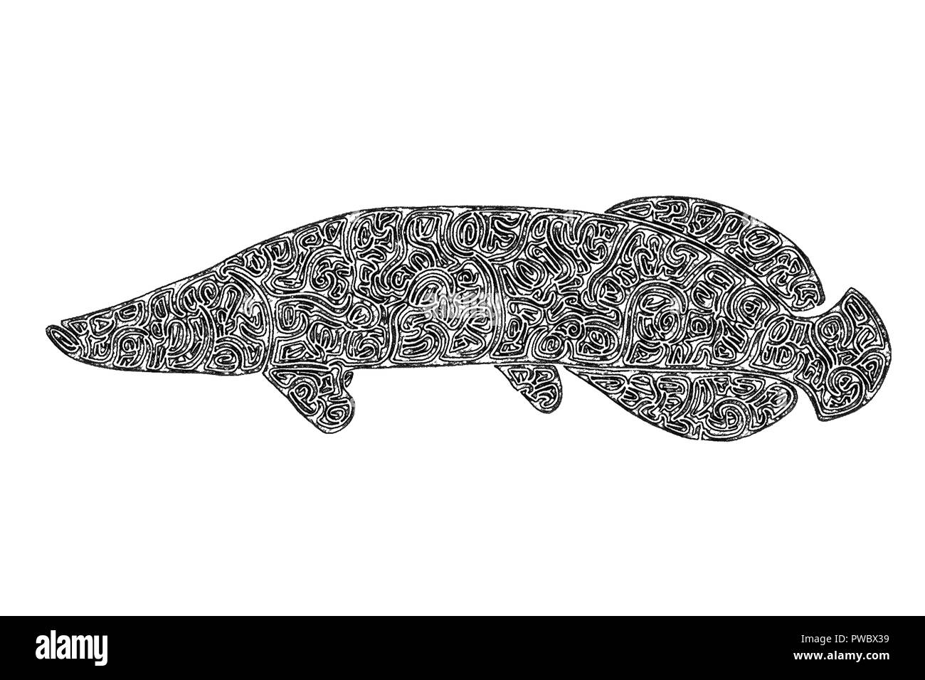 Pirarucu Fish High Resolution Stock Photography and Images - Alamy