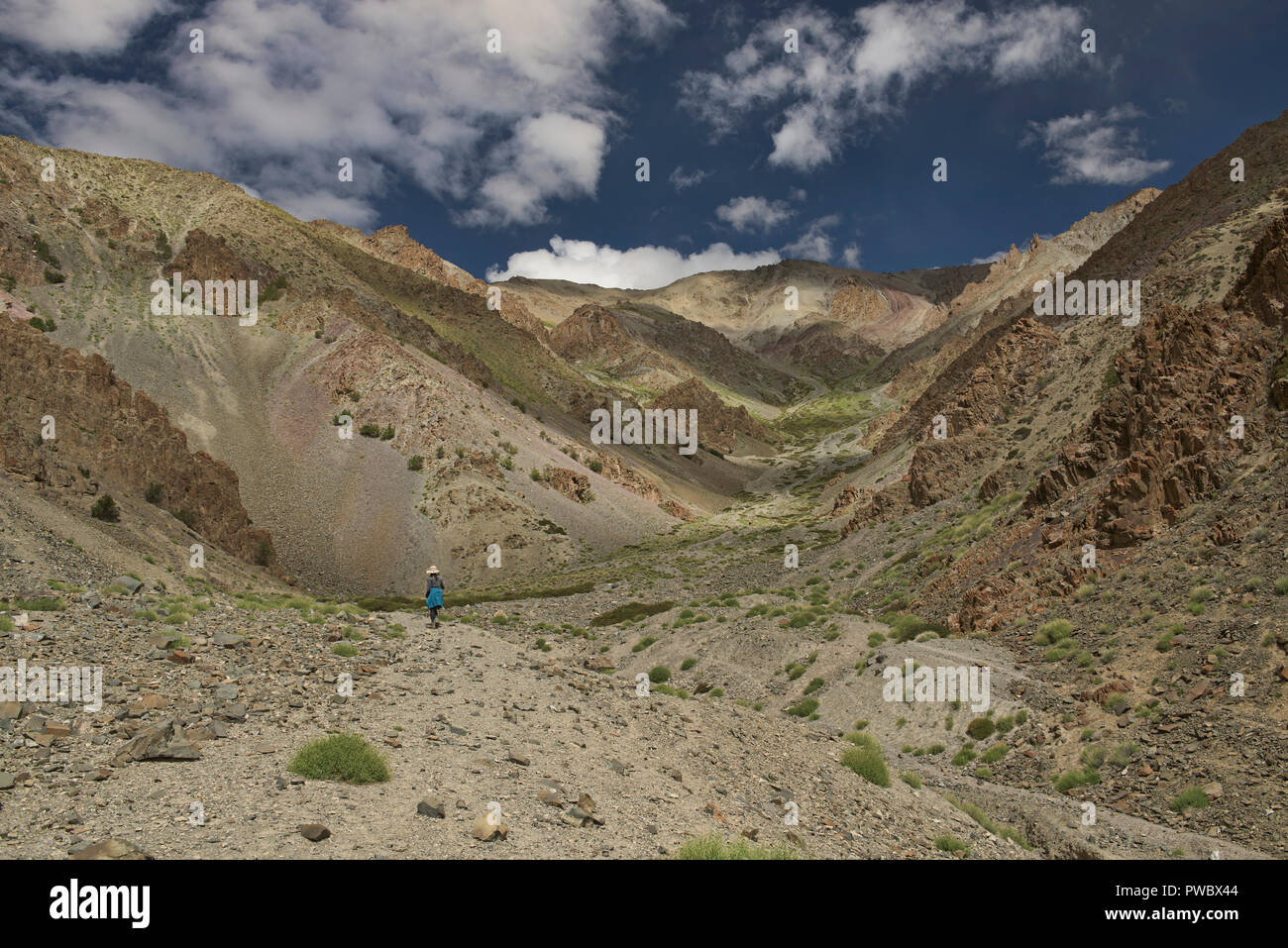 Mountain scenery en route to the Tar La Pass, Ladakh, India Stock Photo ...