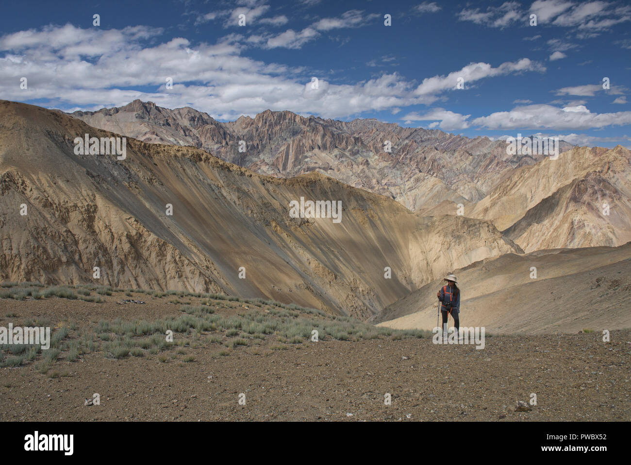 Trekking above the Ripchar Togpo Valley and the Zanskar Range, Ladakh ...