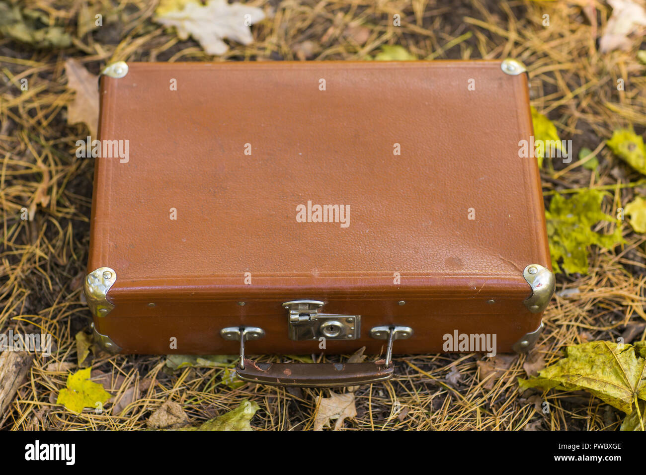Vintage suitcase standing on top of fallen autumn leaves Stock Photo ...