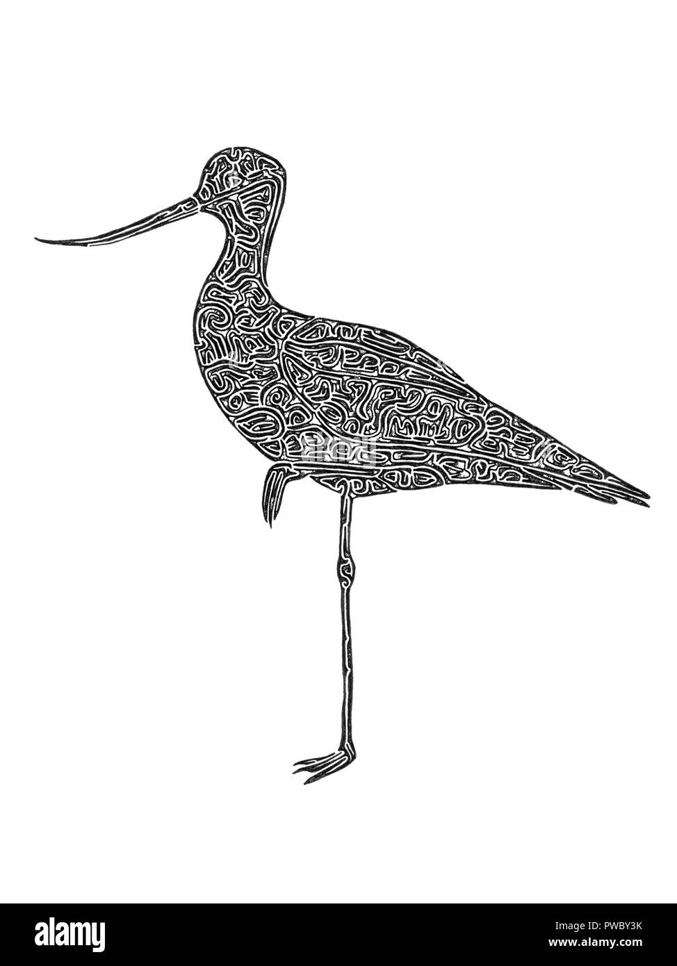 Black And White Wading Bird High Resolution Stock Photography and ...