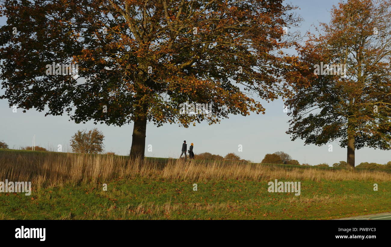 Autumn in city park sunny hi-res stock photography and images - Alamy
