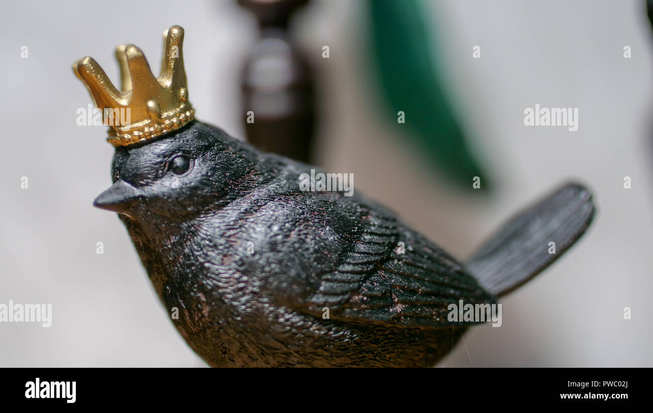 Cute little black bird hi-res stock photography and images - Alamy
