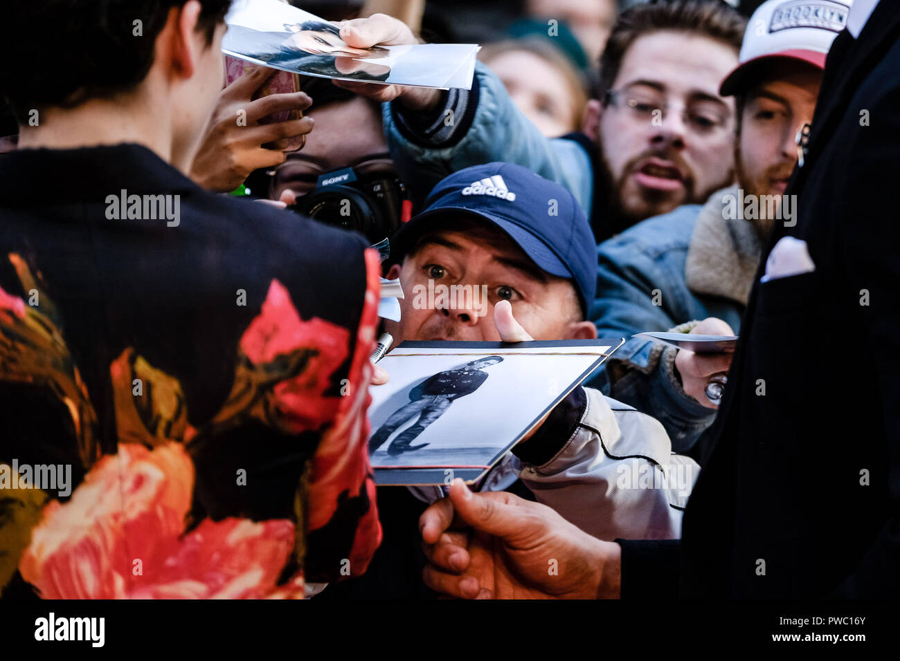 Timothee chalamet fans hi-res stock photography and images - Alamy