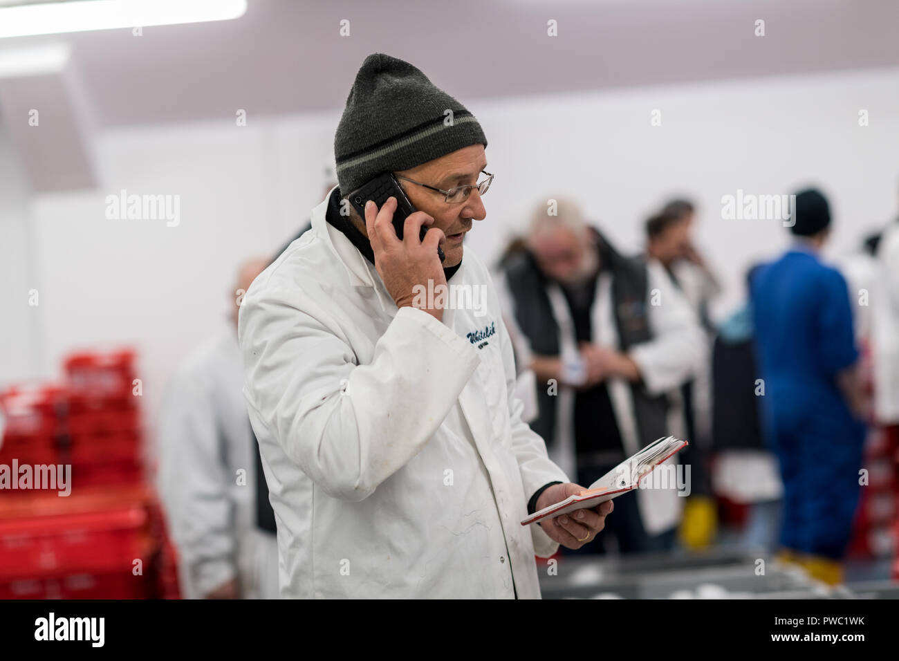 Newlyn fish market auction Cornwall Stock Photo - Alamy