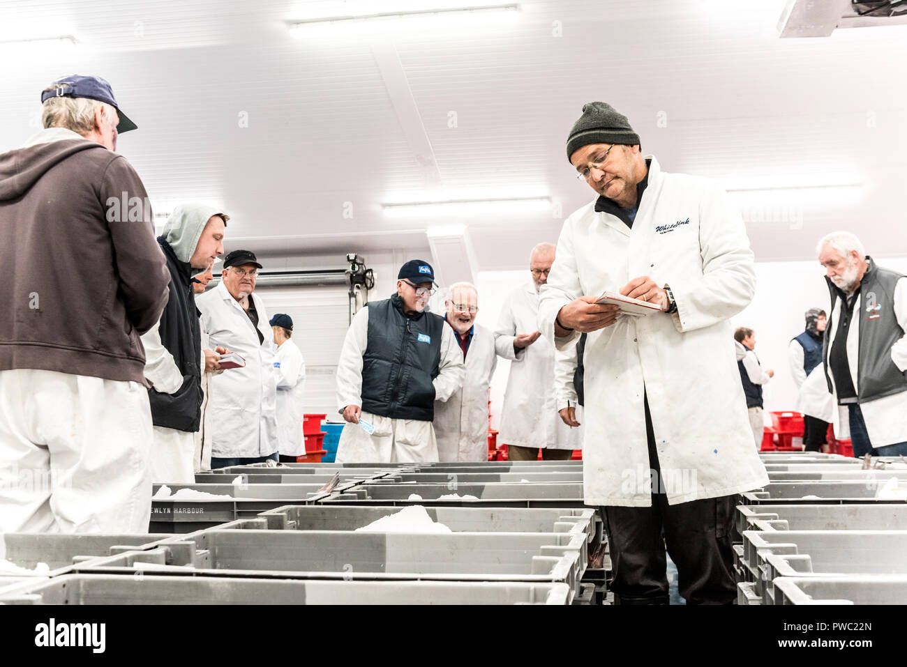 Newlyn fish market auction Cornwall Stock Photo - Alamy