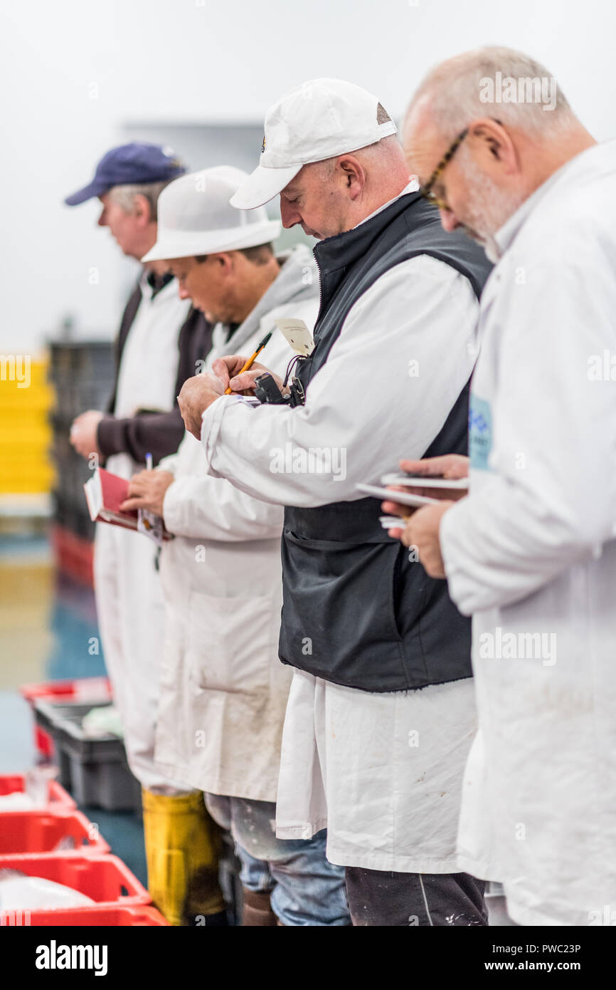 Newlyn fish market auction Cornwall Stock Photo - Alamy
